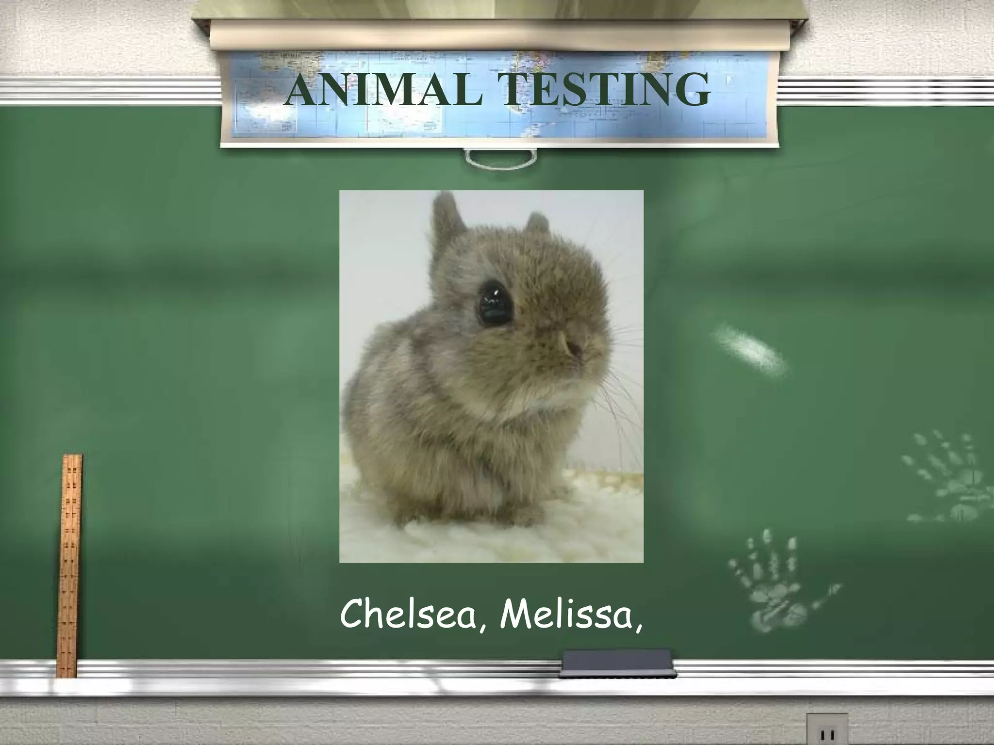 Animal Testing Powerpoint | PPT