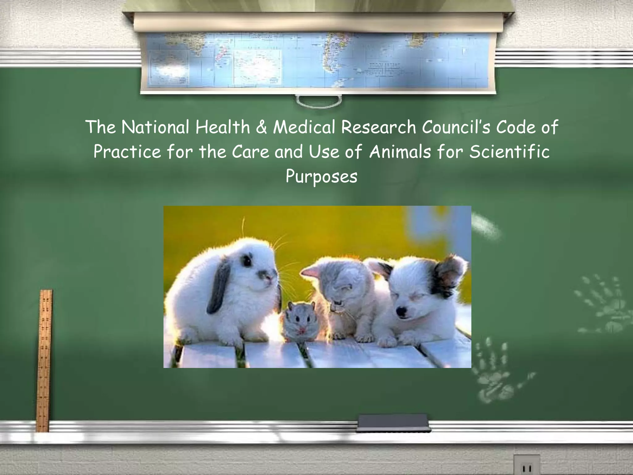Animal Testing Powerpoint | PPT