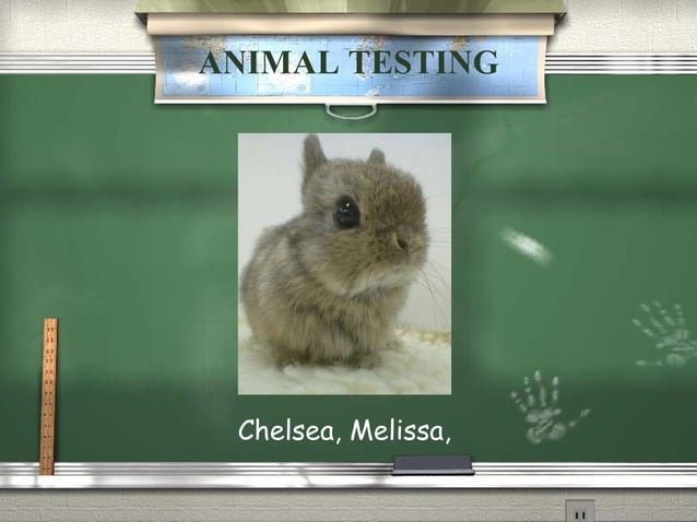 Animal Testing Powerpoint | PPT | Medical Health