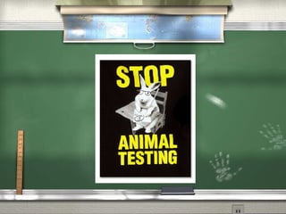 Animal Testing Powerpoint | PPT