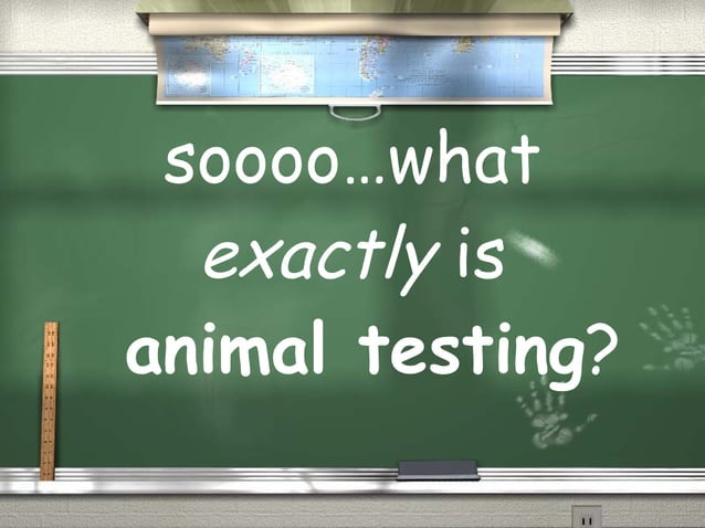 Animal Testing Powerpoint | PPT | Medical Health