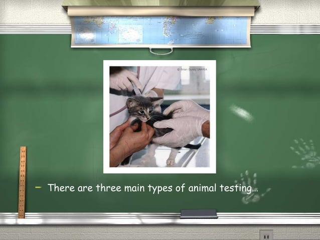 Animal Testing Powerpoint | PPT | Medical Health