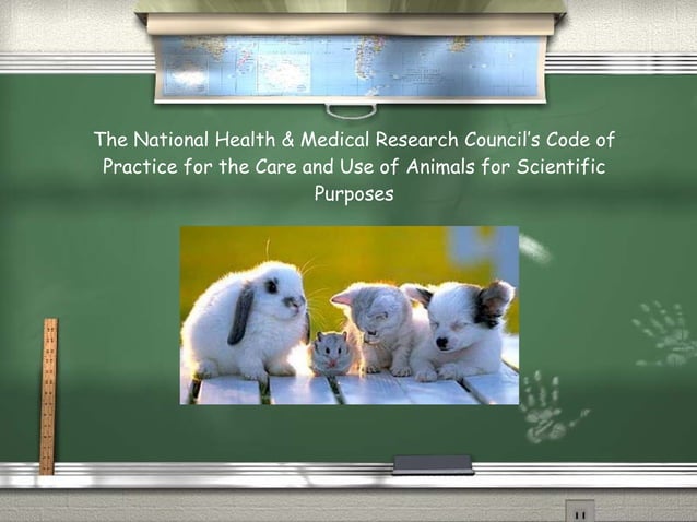 Animal Testing Powerpoint | PPT