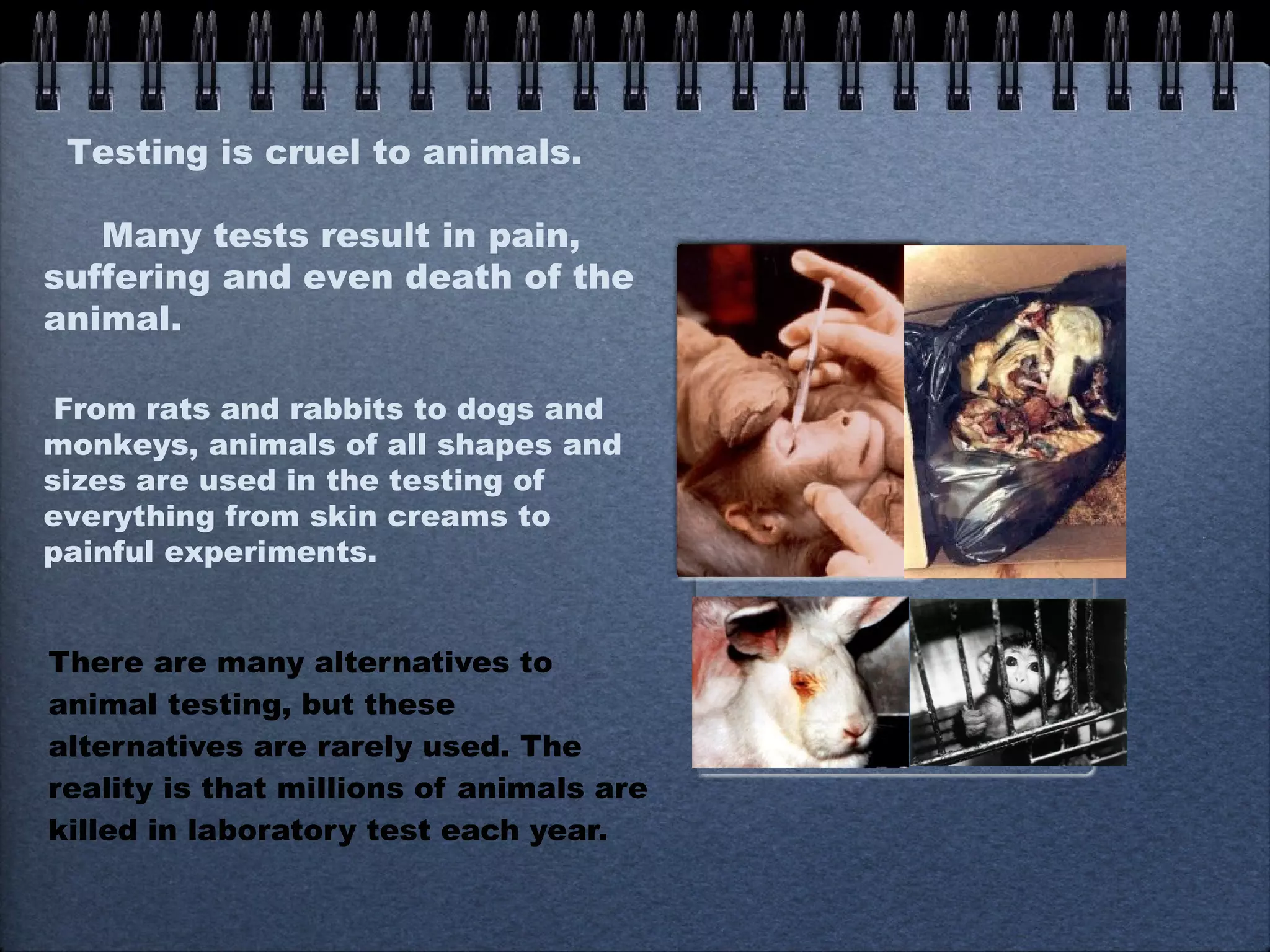 Animal testing | PPT