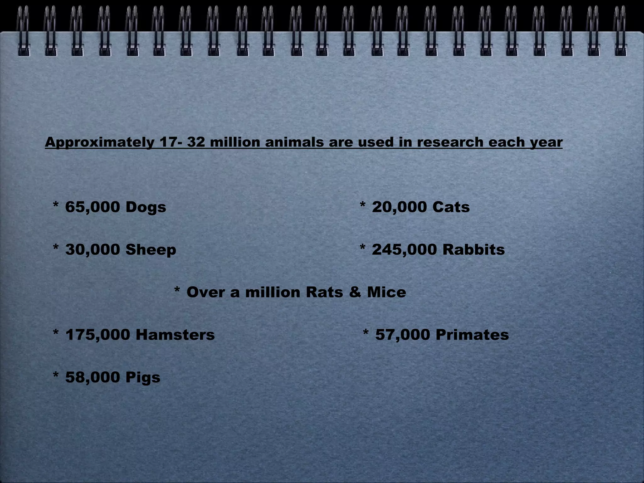 Animal testing | PPT