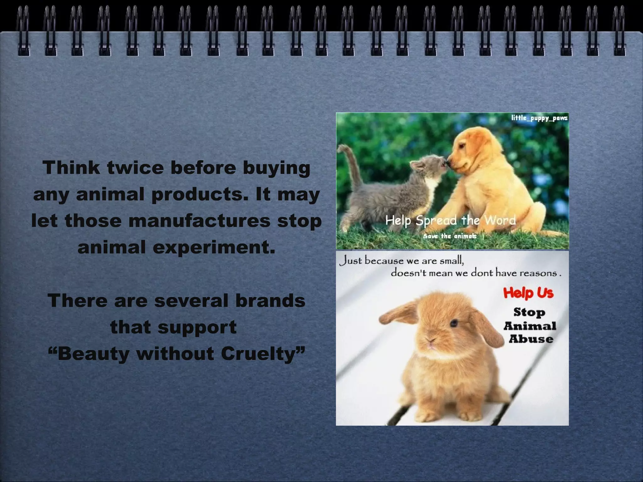 Animal testing | PPT | Veterinary Medicine | Pets