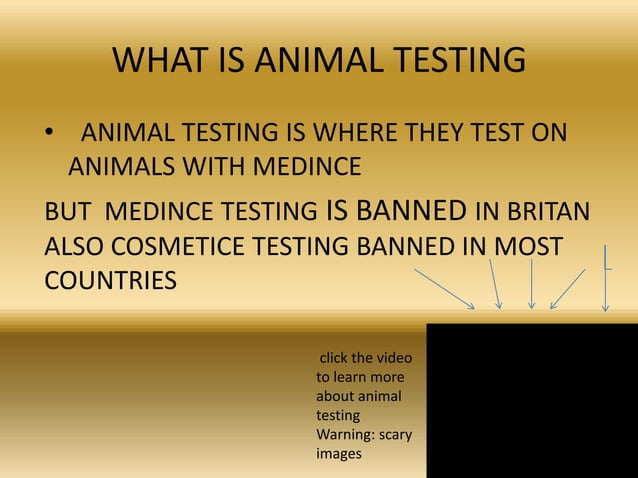 Animal testing | PPT