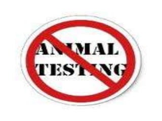 Animal testing | PPTX | Science