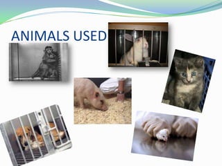 Animal testing | PPTX | Science