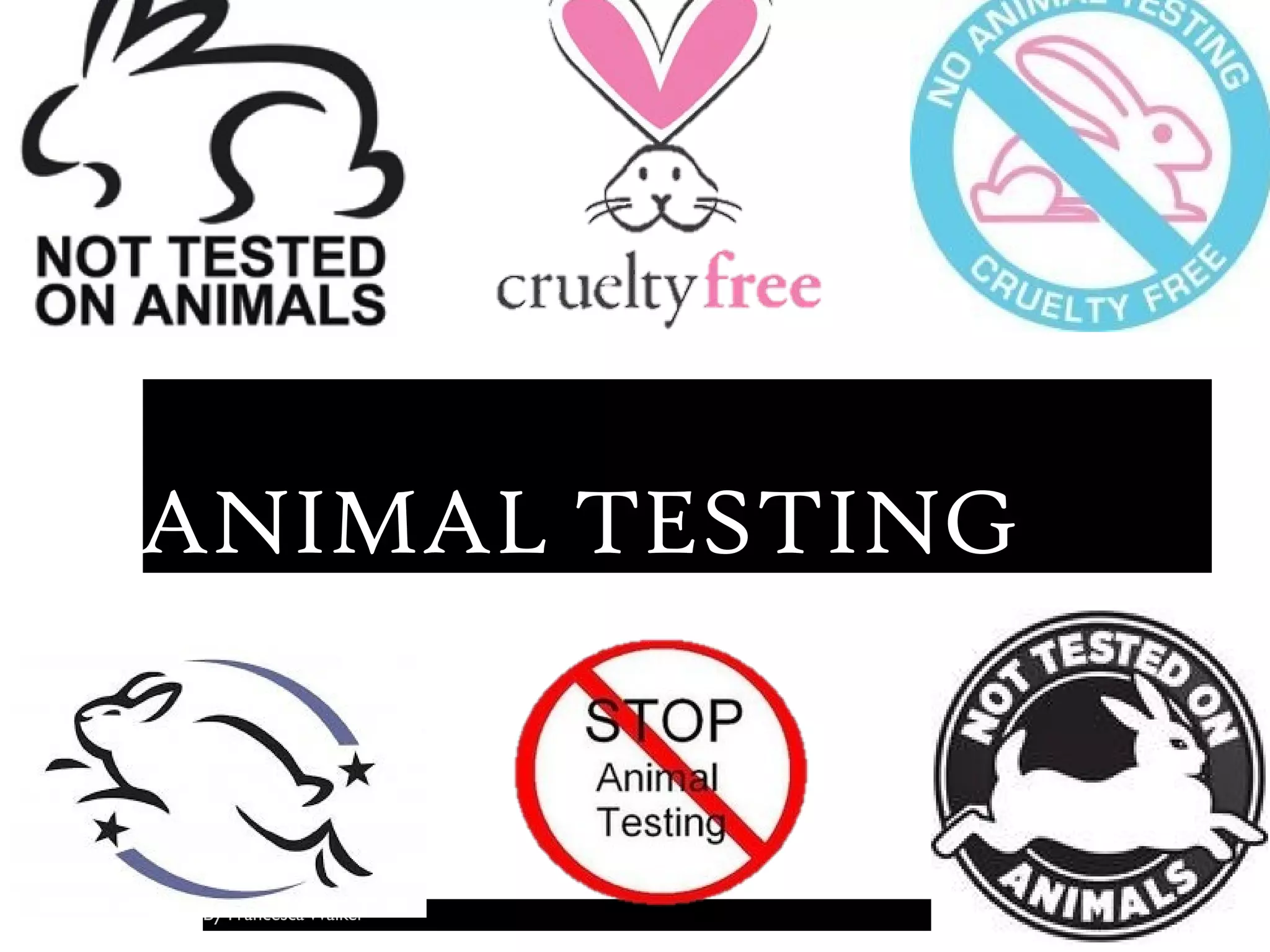 Animal testing | PPT