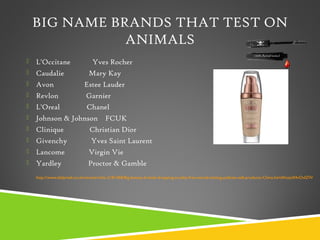 Animal testing | PPT