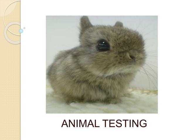 Animal testing | PPTX | Medical Tests | Medical Health