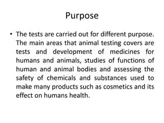 Animal Testing: Case Study | PPTX