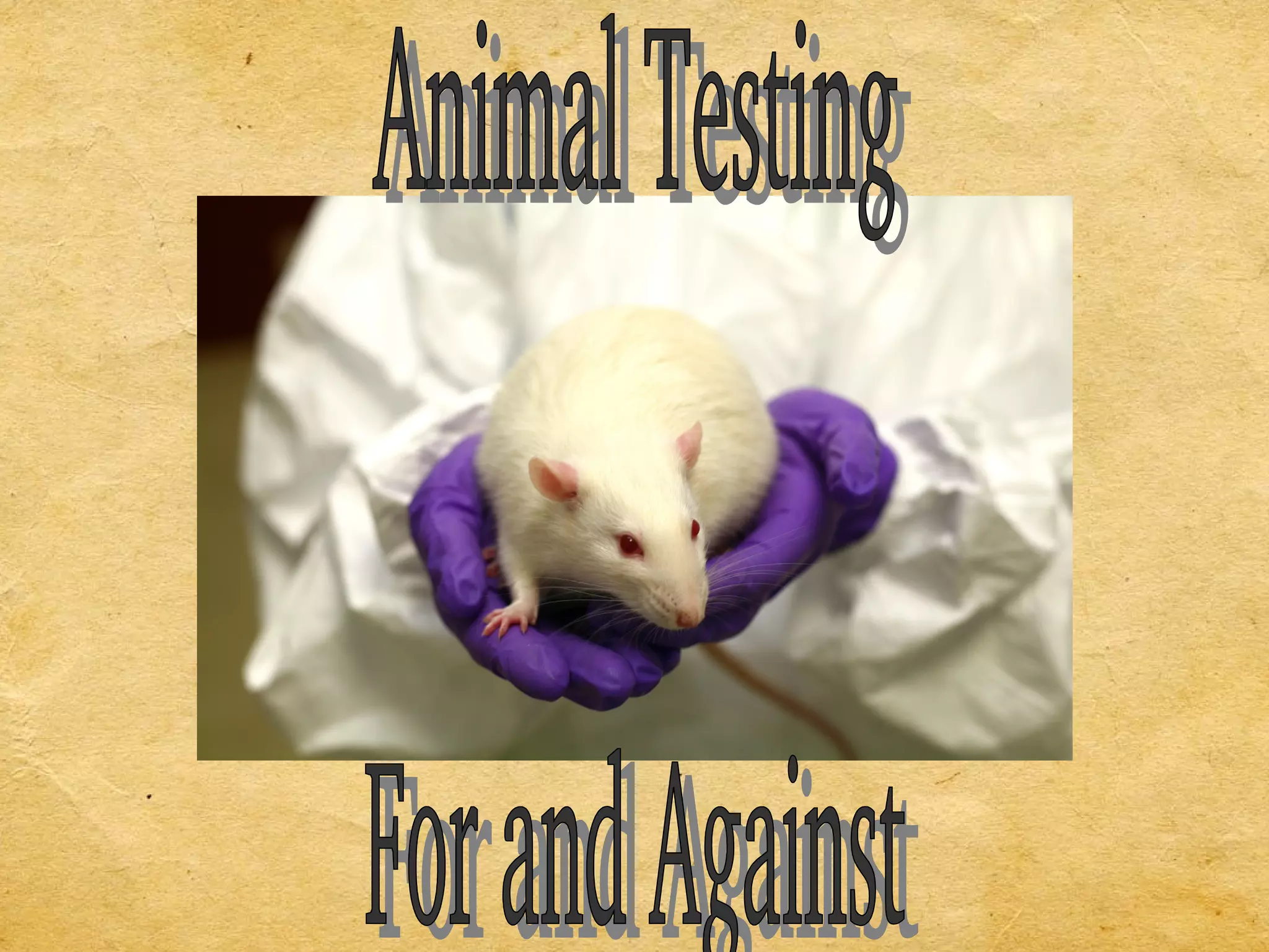 Animal testing for and against | ODP