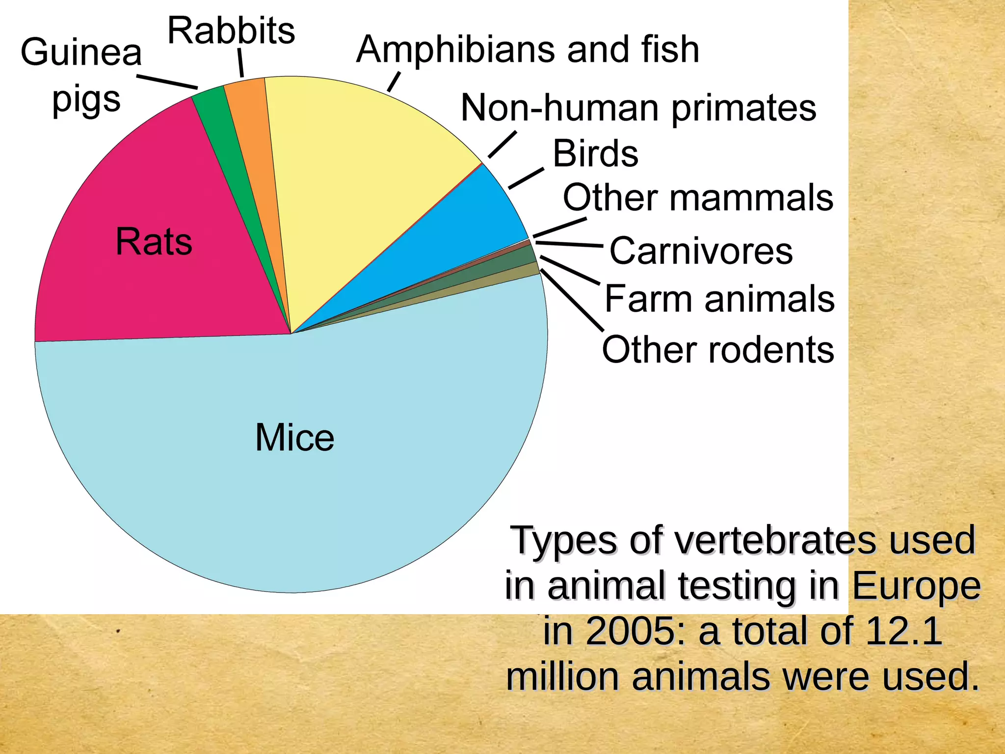 Animal testing for and against | ODP
