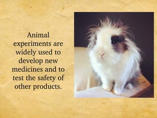 Animal testing for and against | ODP