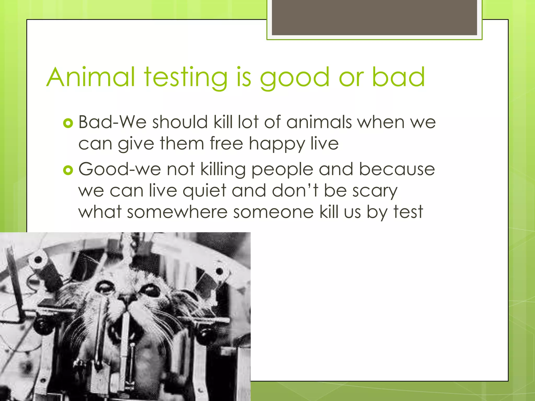 Animal testing for year seven | PPTX