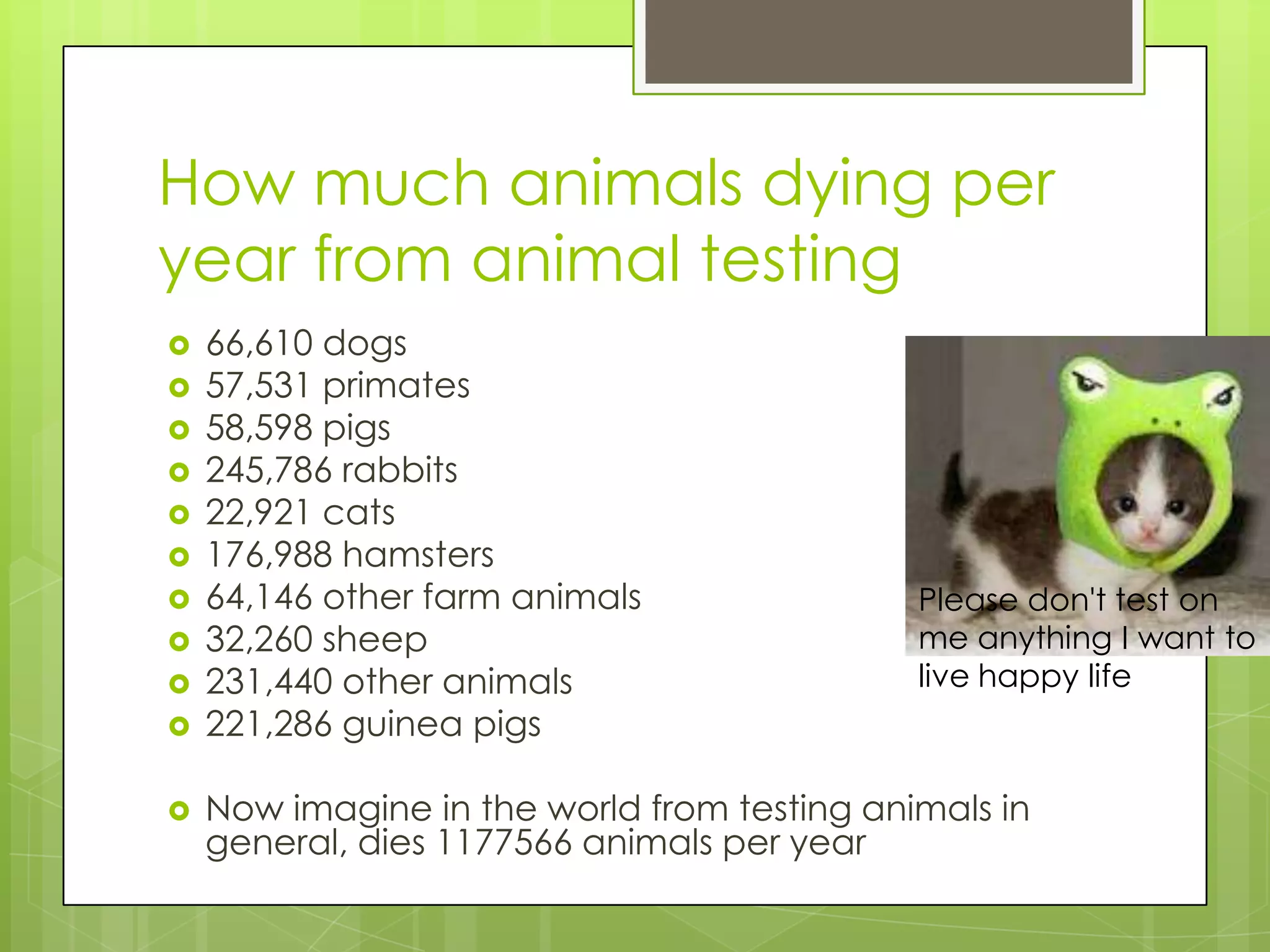 Animal testing for year seven | PPTX