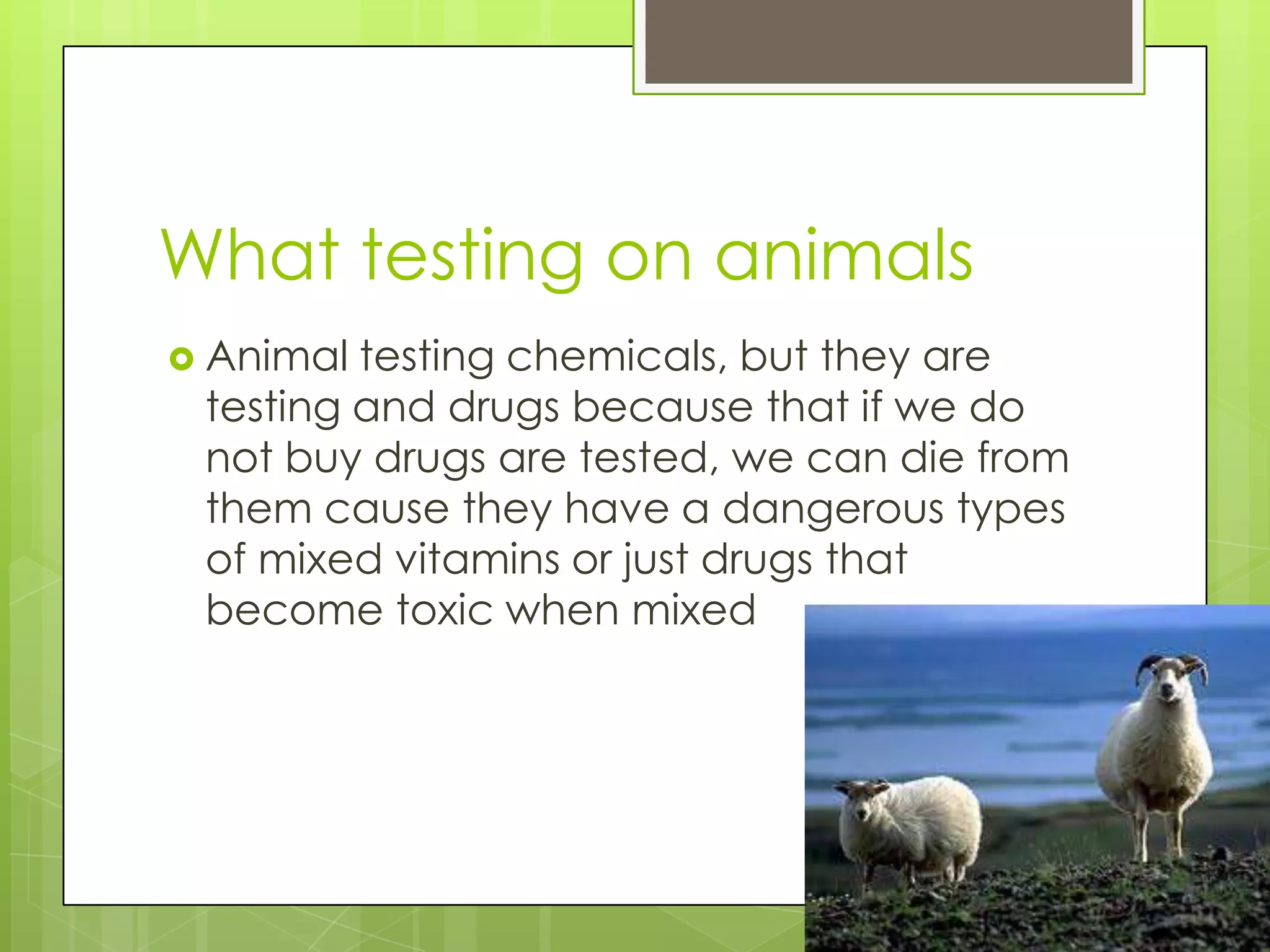 Animal testing for year seven | PPTX