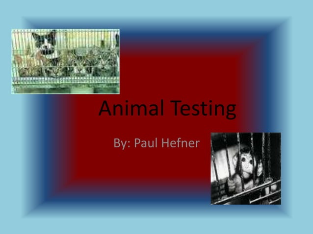 Animal Testing | PPTX