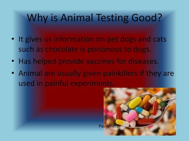 Animal Testing | PPTX