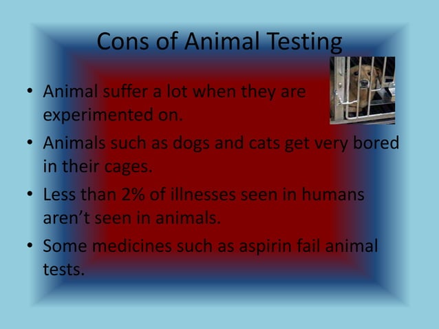 Animal Testing | PPTX