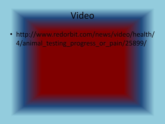 Animal Testing | PPTX