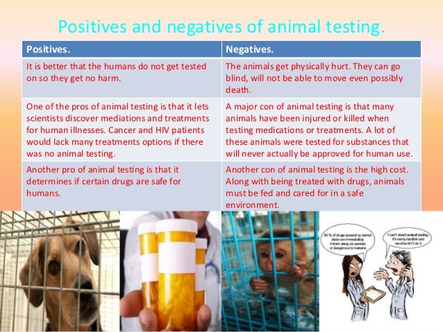 Animal testing 11jyabsley.