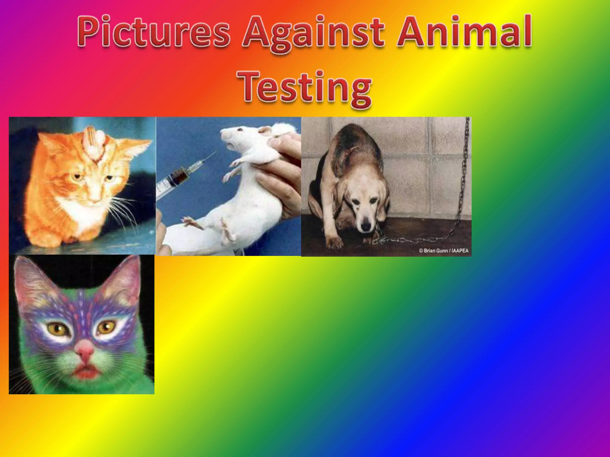 Animal testing presentation | PPTX