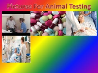 Animal testing presentation | PPTX