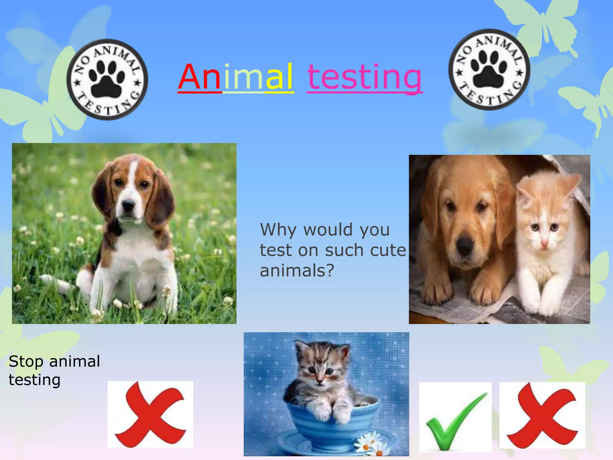 Animal testing presentation | PPTX | Pets