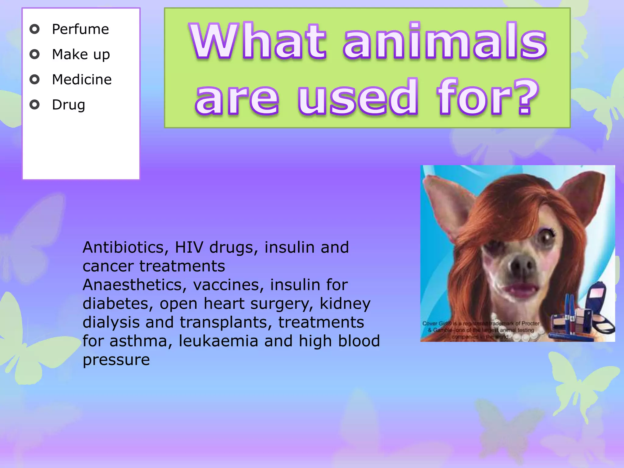 Animal testing presentation | PPTX | Pets