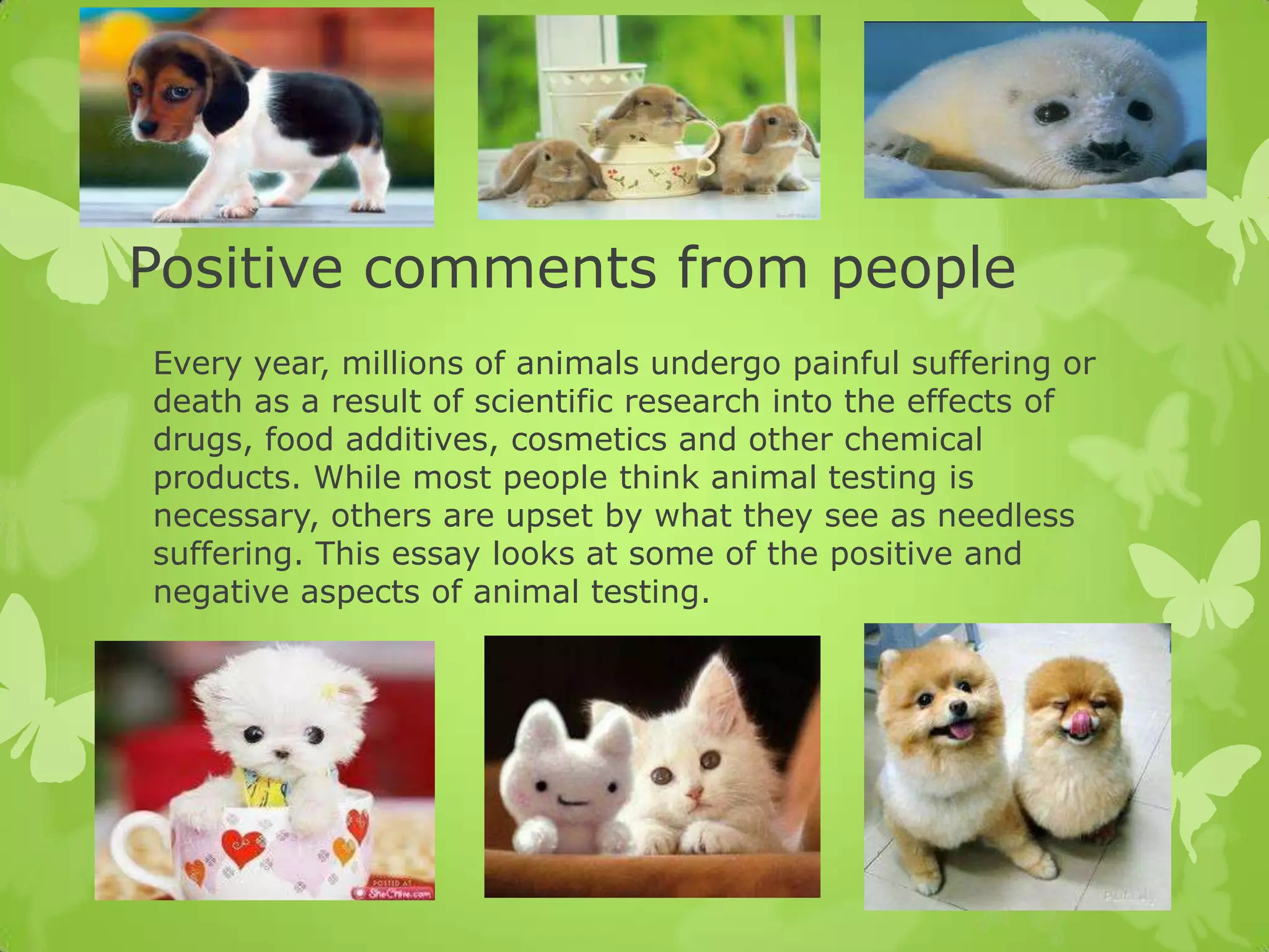 Animal testing presentation | PPTX | Pets
