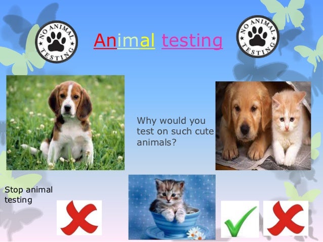 animal-testing-presentation