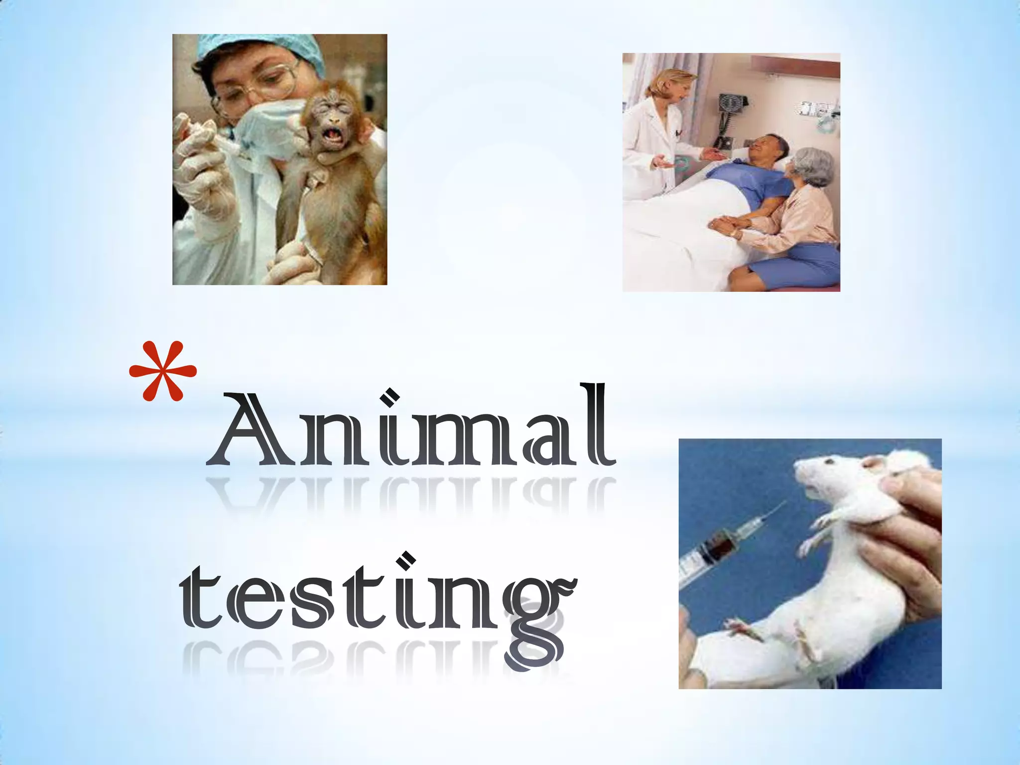 Animal testing presentation | PPTX
