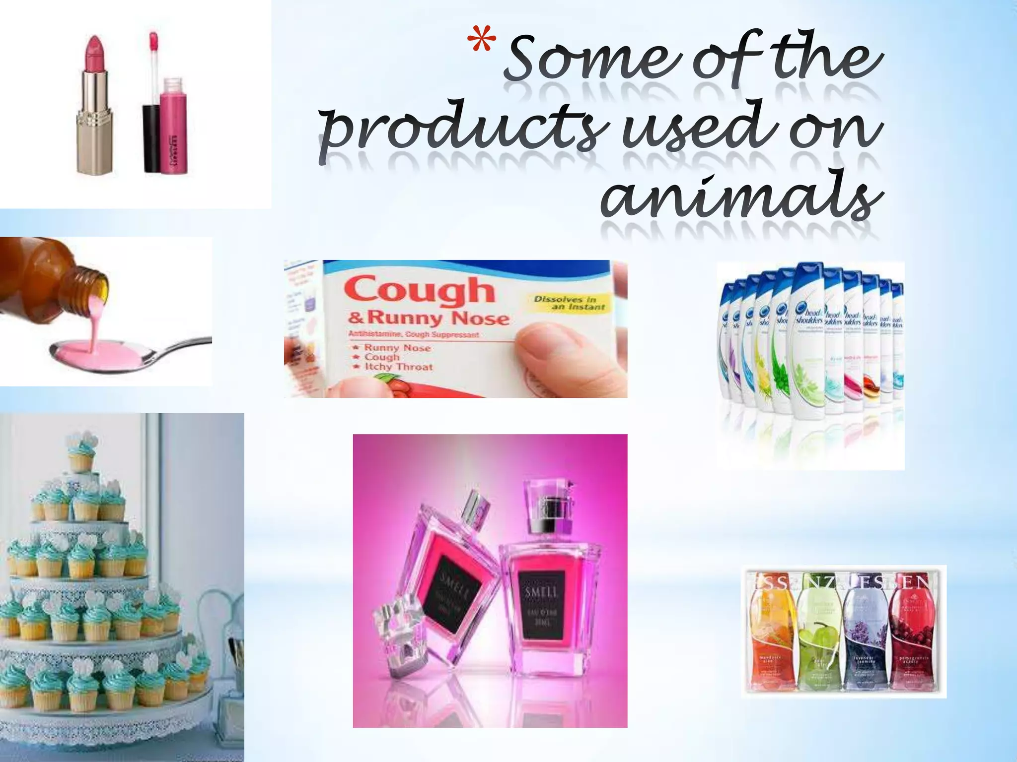 Animal testing presentation | PPTX