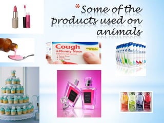 Animal testing presentation | PPTX