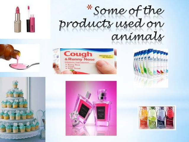 Animal testing presentation | PPTX | Pets