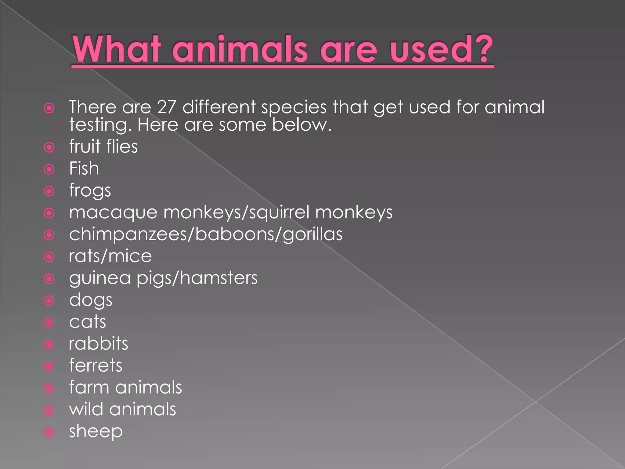 Animal testing presentation | PPTX