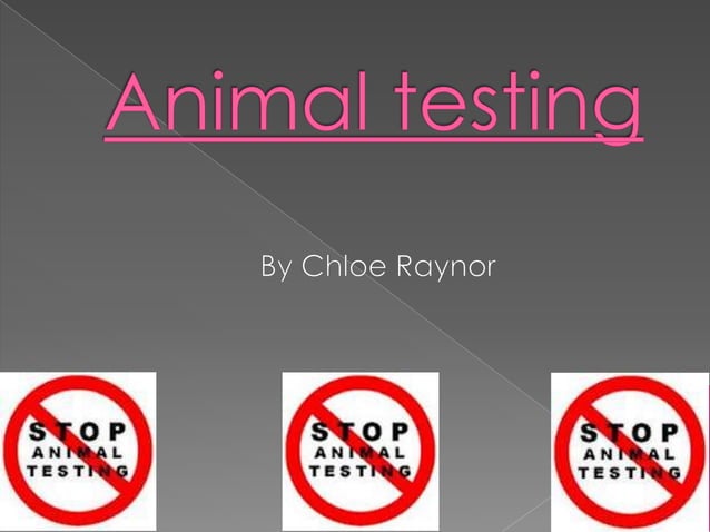 Animal testing presentation | PPTX