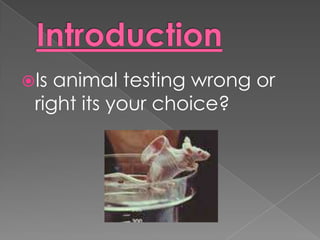 Animal testing presentation | PPTX