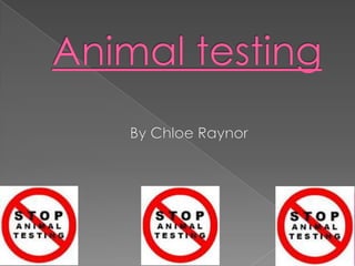 Animal testing presentation | PPT | Free Download