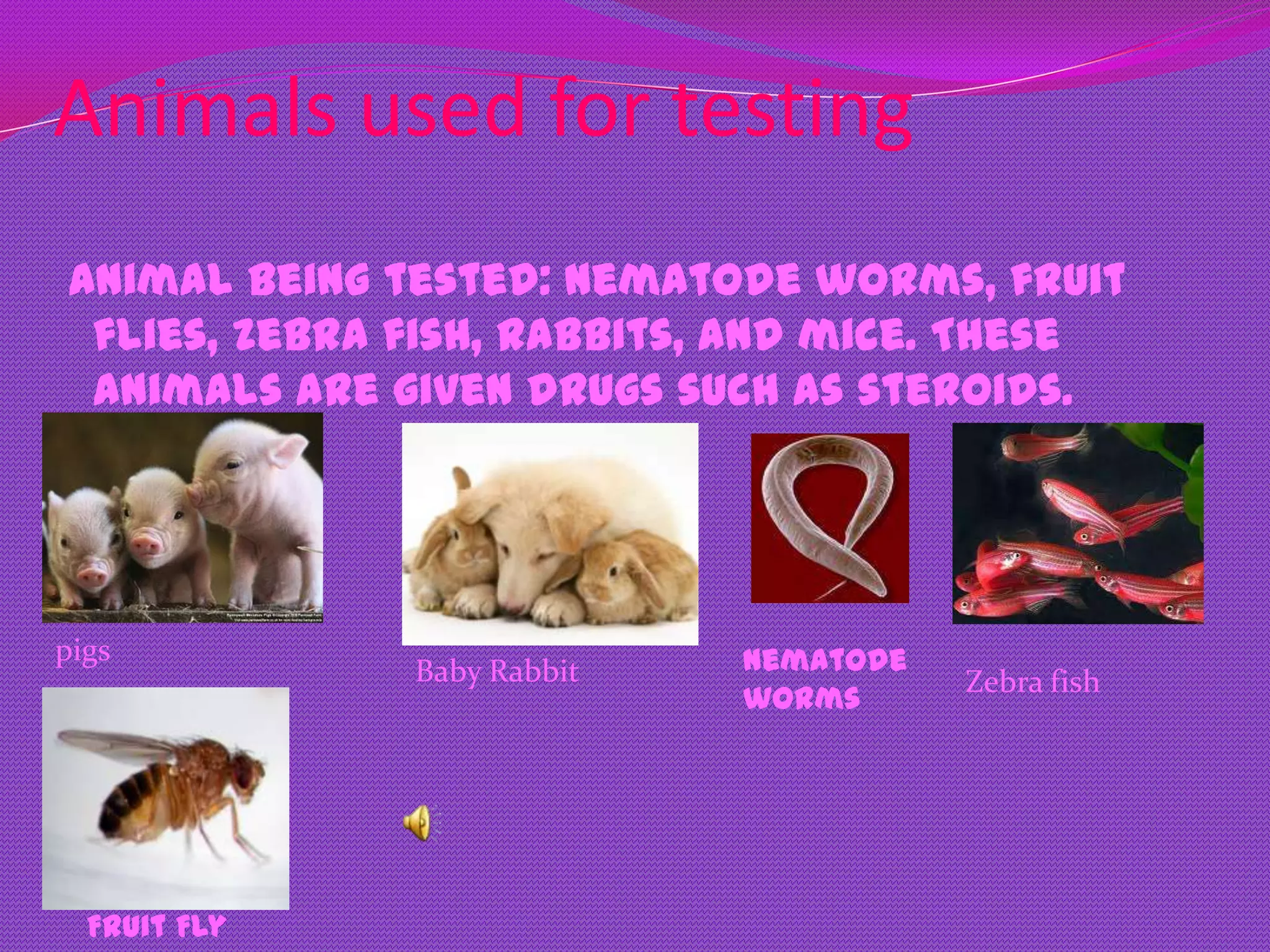 Animal testing sarah ahmad 716[2] | PPTX