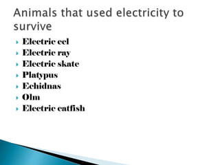 electric eel | PPTX | Fish and Aquariums | Pets