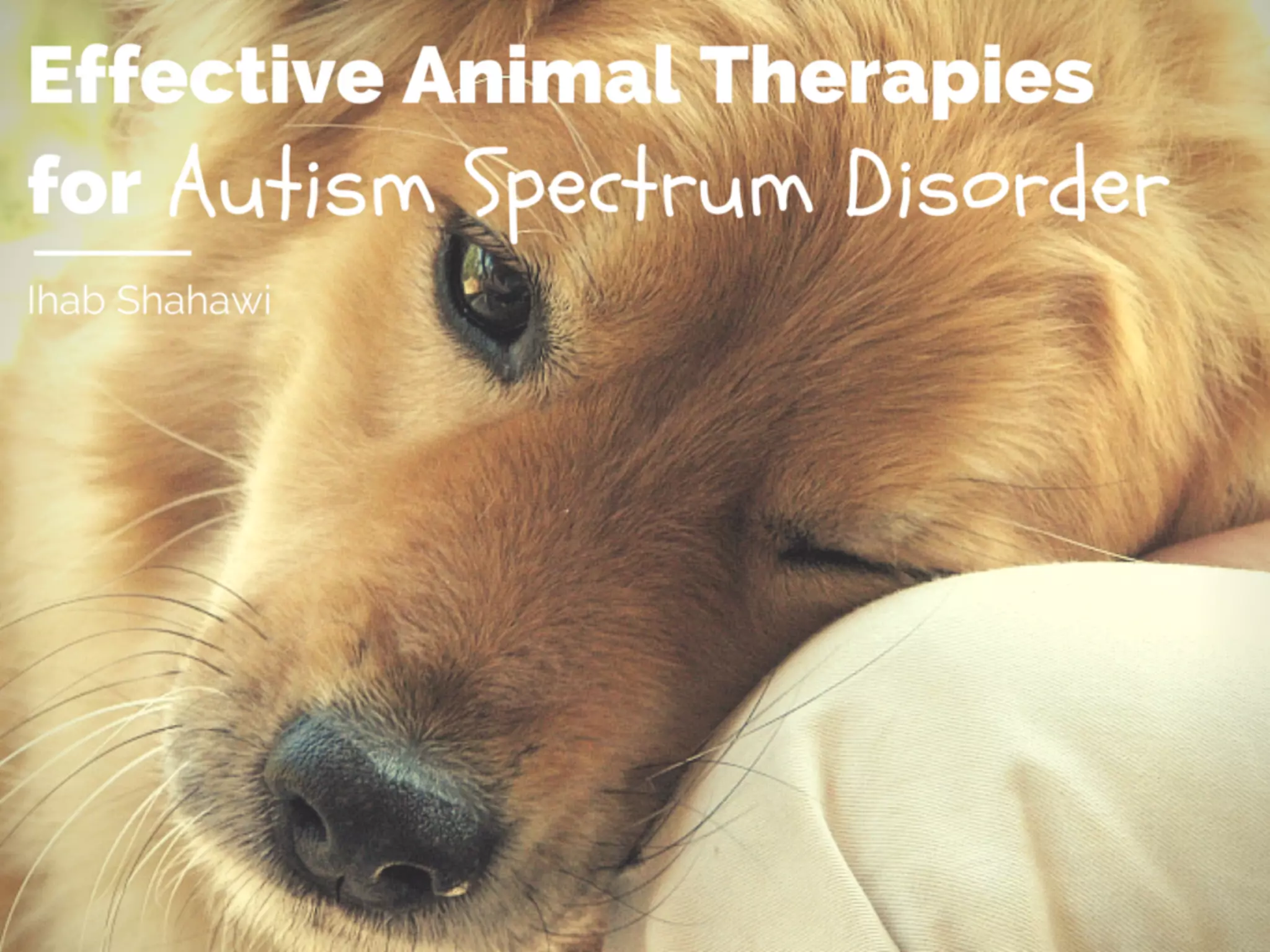 Effective Animal Therapies for Autism Spectrum Disorder | PDF
