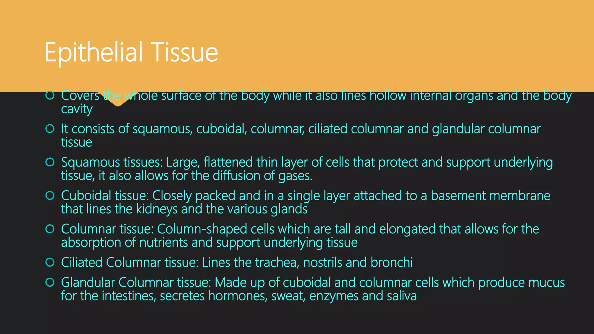 Animal tissue | PPTX