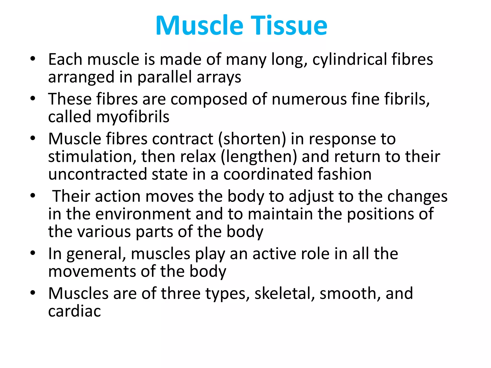 Animal tissue | PPTX