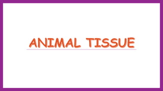 Animal tissue | PPTX