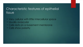 ANIMAL_TISSUE.of animal tissues great animal | PPTX
