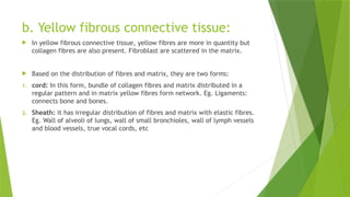 class 12 notes of zoology topic: animal tissue | PPTX